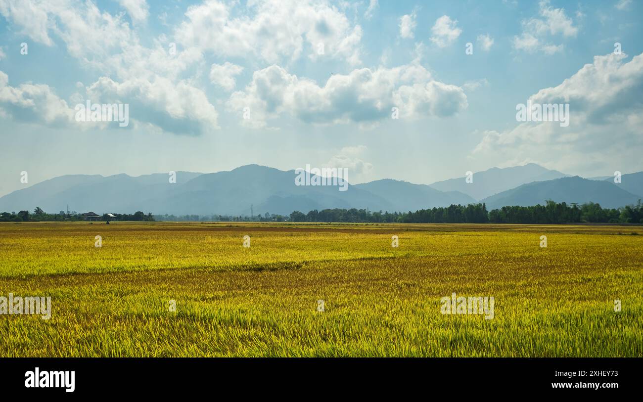 Image of beautiful Terraced rice field in water season and Irrigation ...