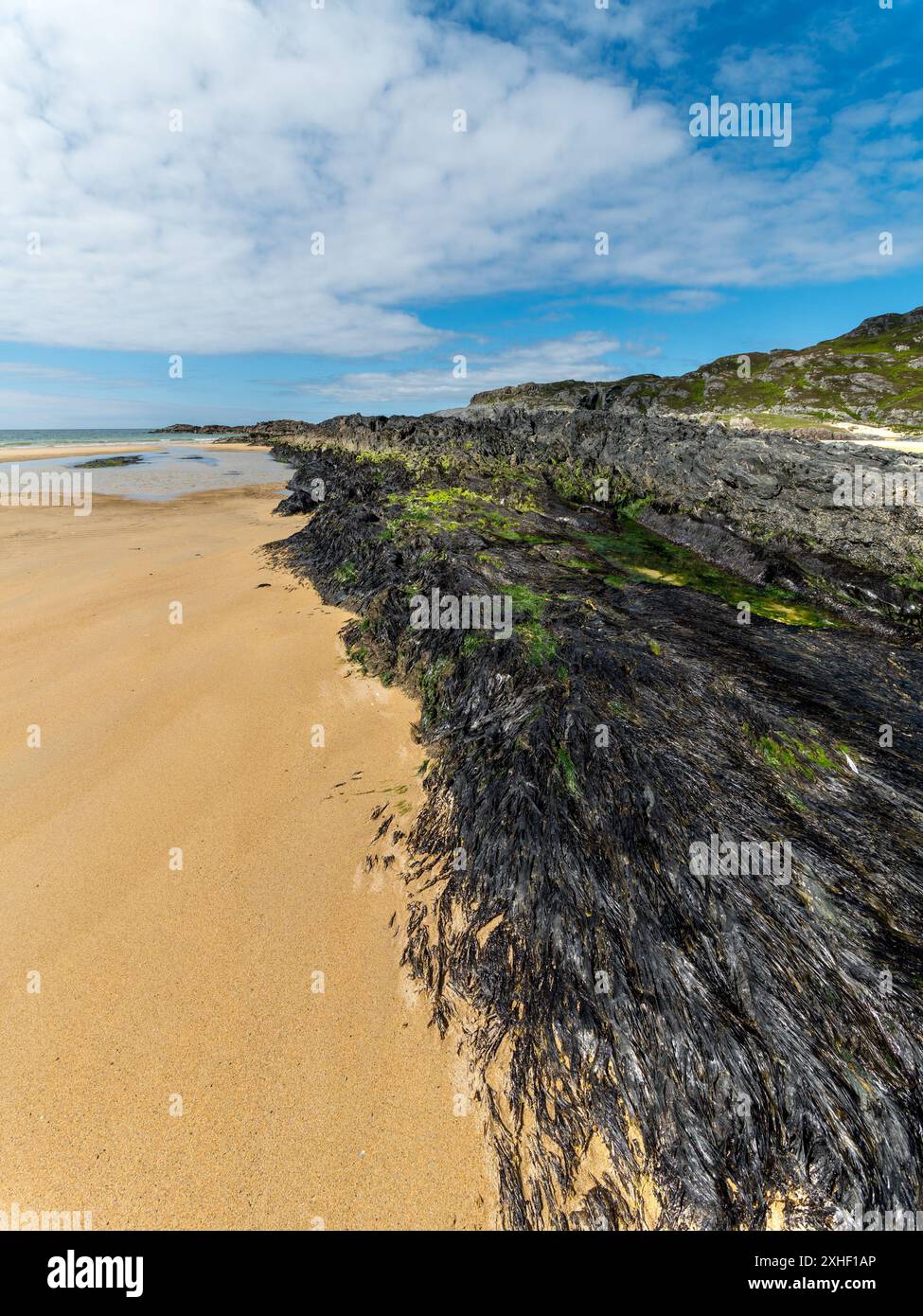 Dark seaweed covered rooks and sand on Kiloran beach, Isle of Colonsay ...