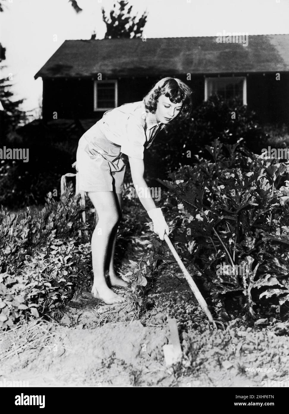 Actress margaret sullavan hi-res stock photography and images - Alamy