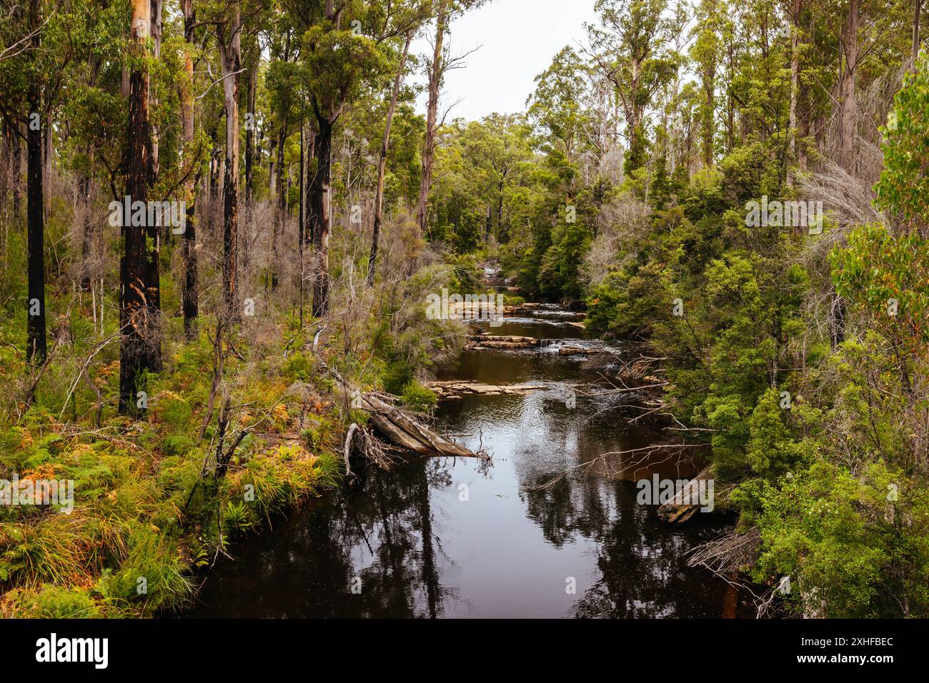 Arve River in Tasmania Australia Stock Photo - Alamy