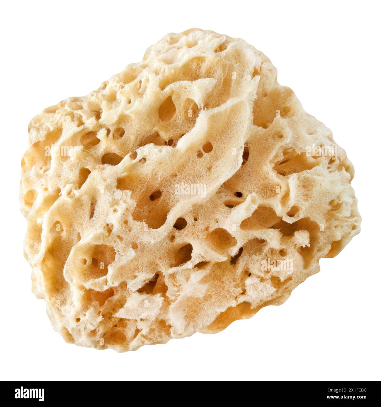 Natural sponge on organic Cut Out Stock Images & Pictures - Alamy