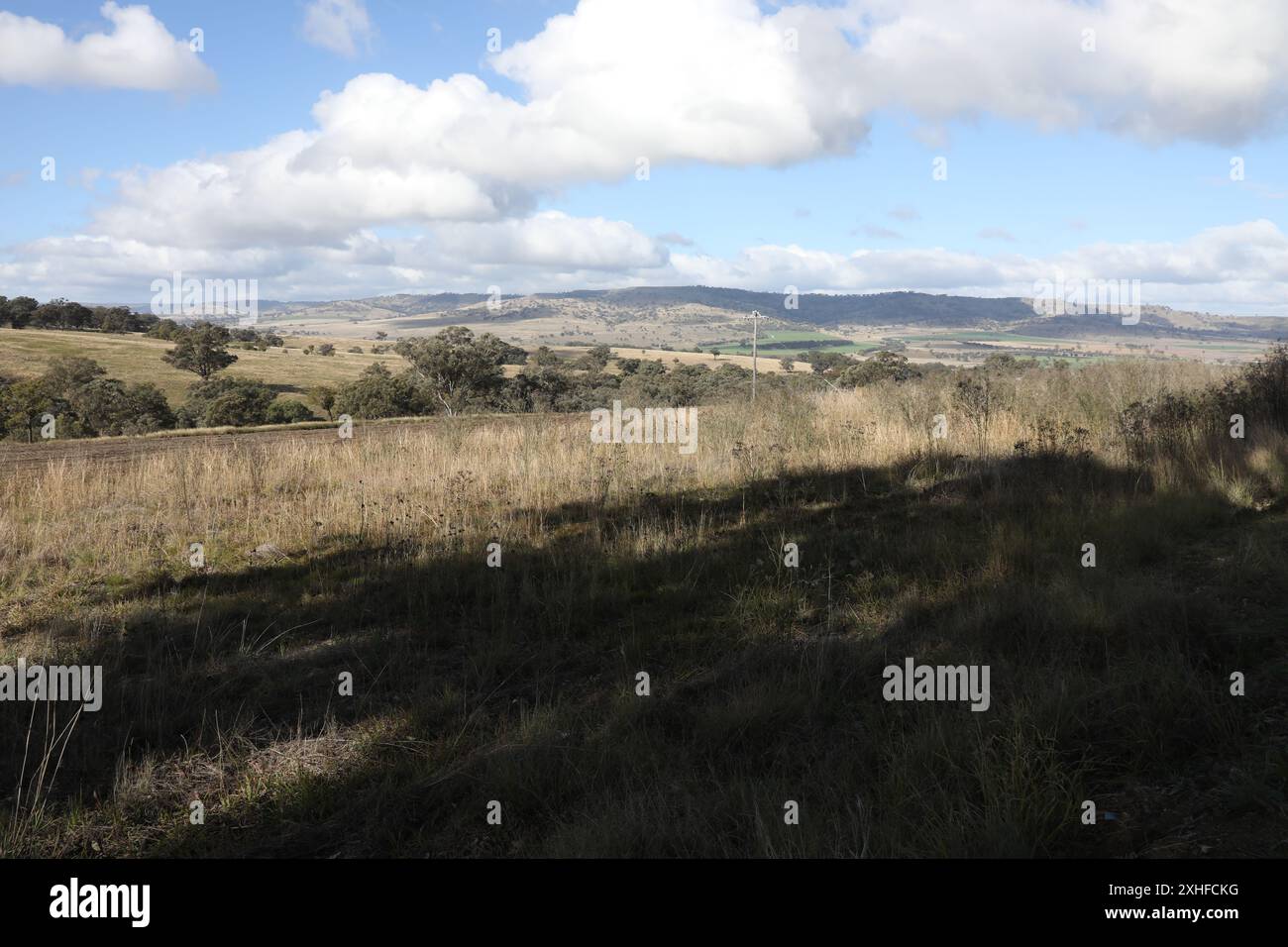Countryside just outside the town of Coolah, NSW, Australia Stock Photo ...