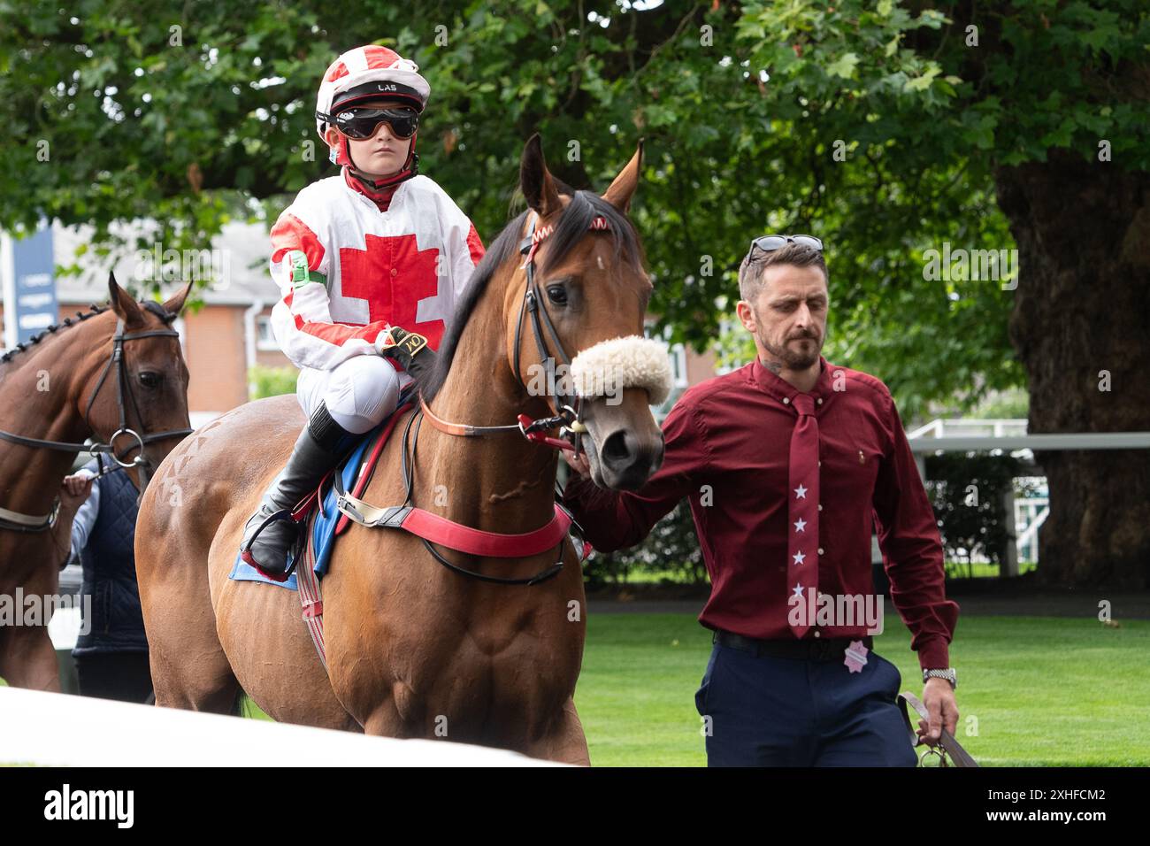 Harley blackwood hi-res stock photography and images - Alamy