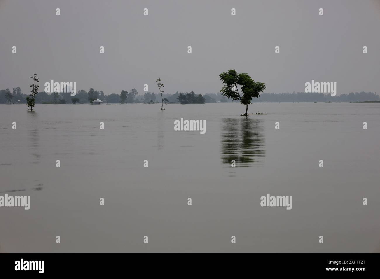 Kurigram, Kurigram, Bangladesh. 14th July, 2024. Dharla river in ...