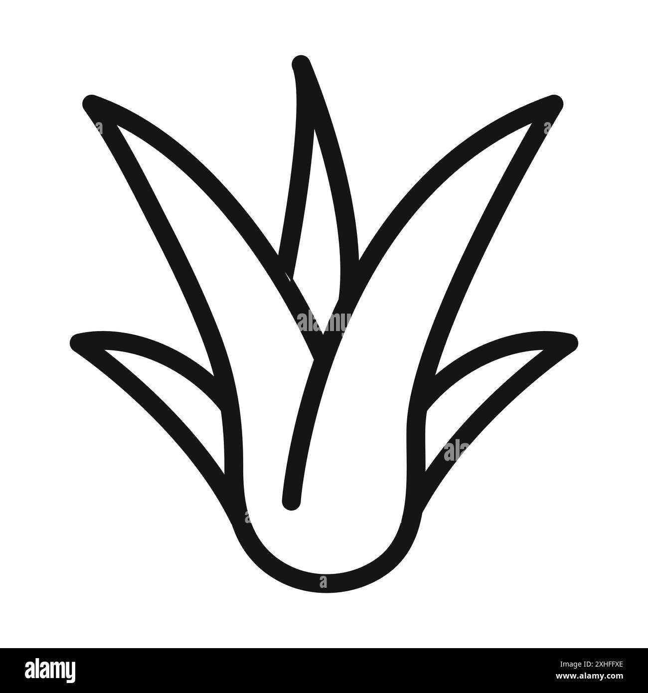 Aloe vera icon Vector symbol or sign set collection in black and white ...