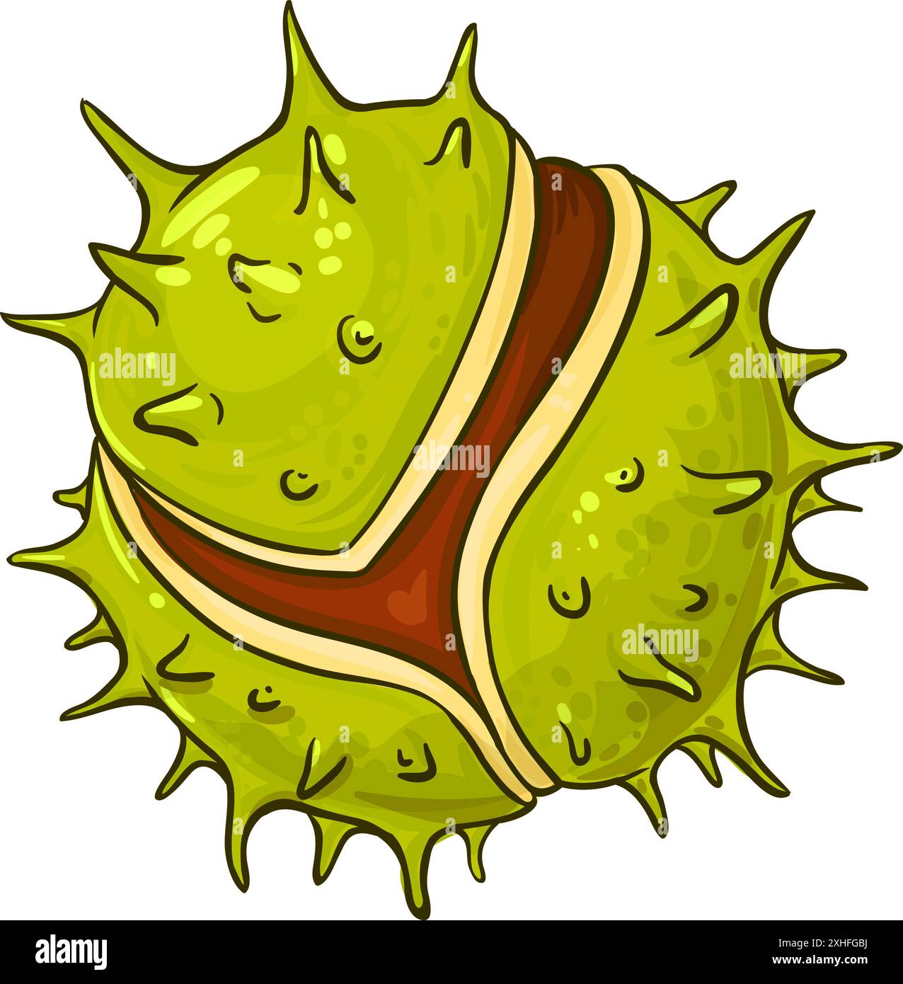 Chestnut Nut Colored Detailed Illustration Stock Vector Image & Art - Alamy