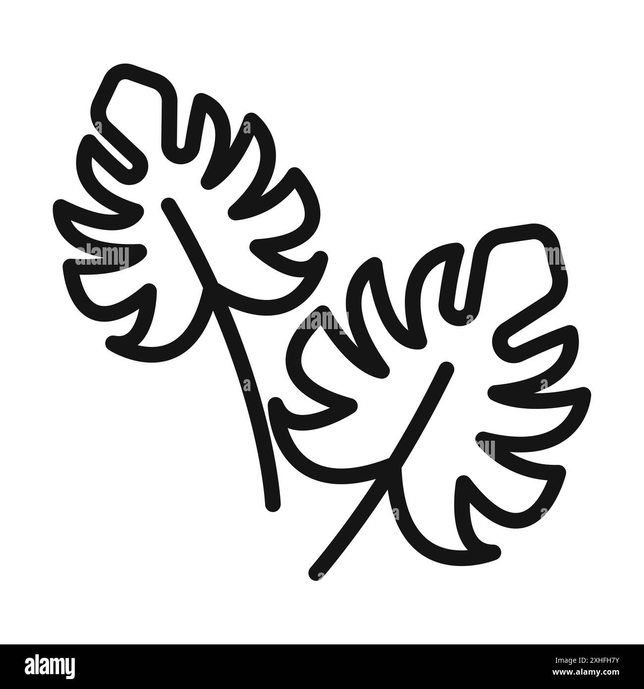 Monstera leaves icon Vector symbol or sign set collection in black and ...