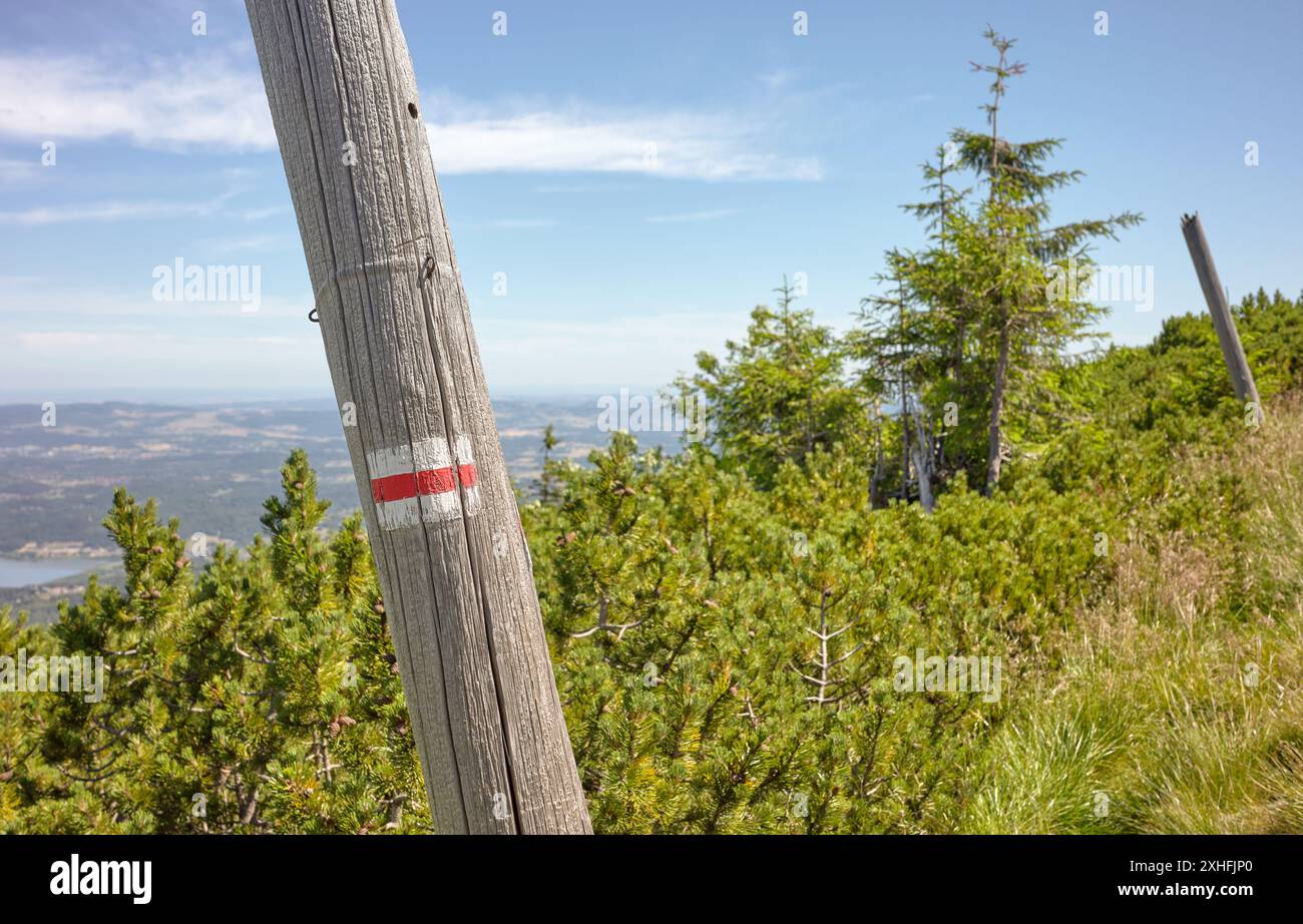 Red trail marker painted on a wood log, Karkonosze (Giant Mountains ...