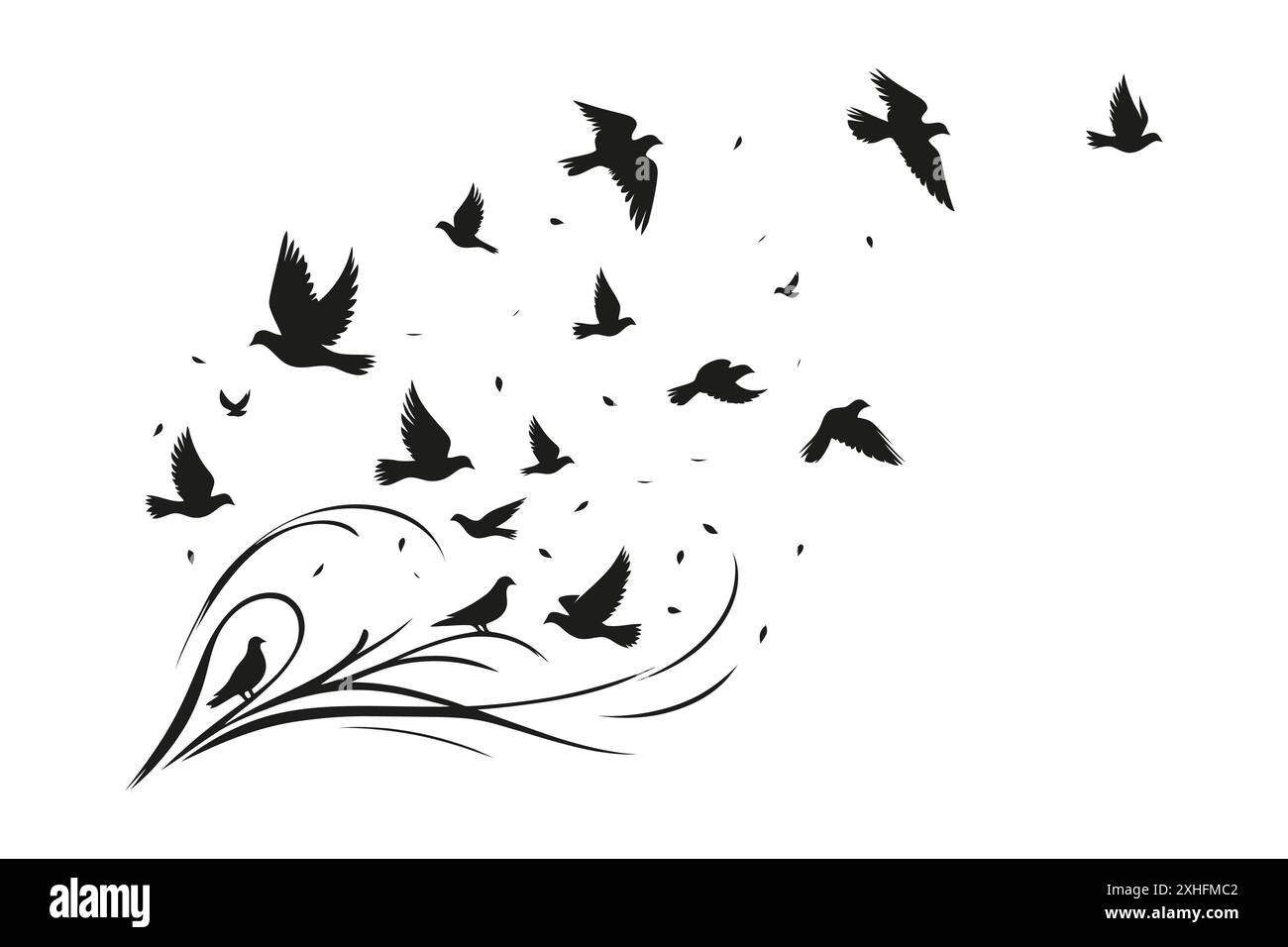 Taking birds Stock Vector Images - Alamy