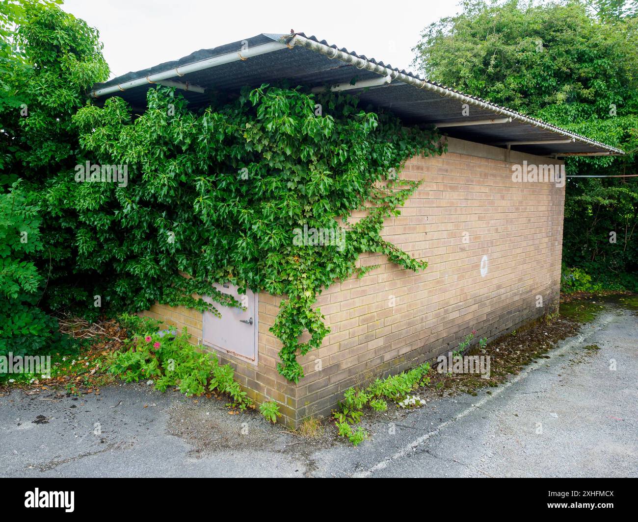 Abandoned brick building overgrown with lush green ivy, surrounded by nature reclaiming the ...