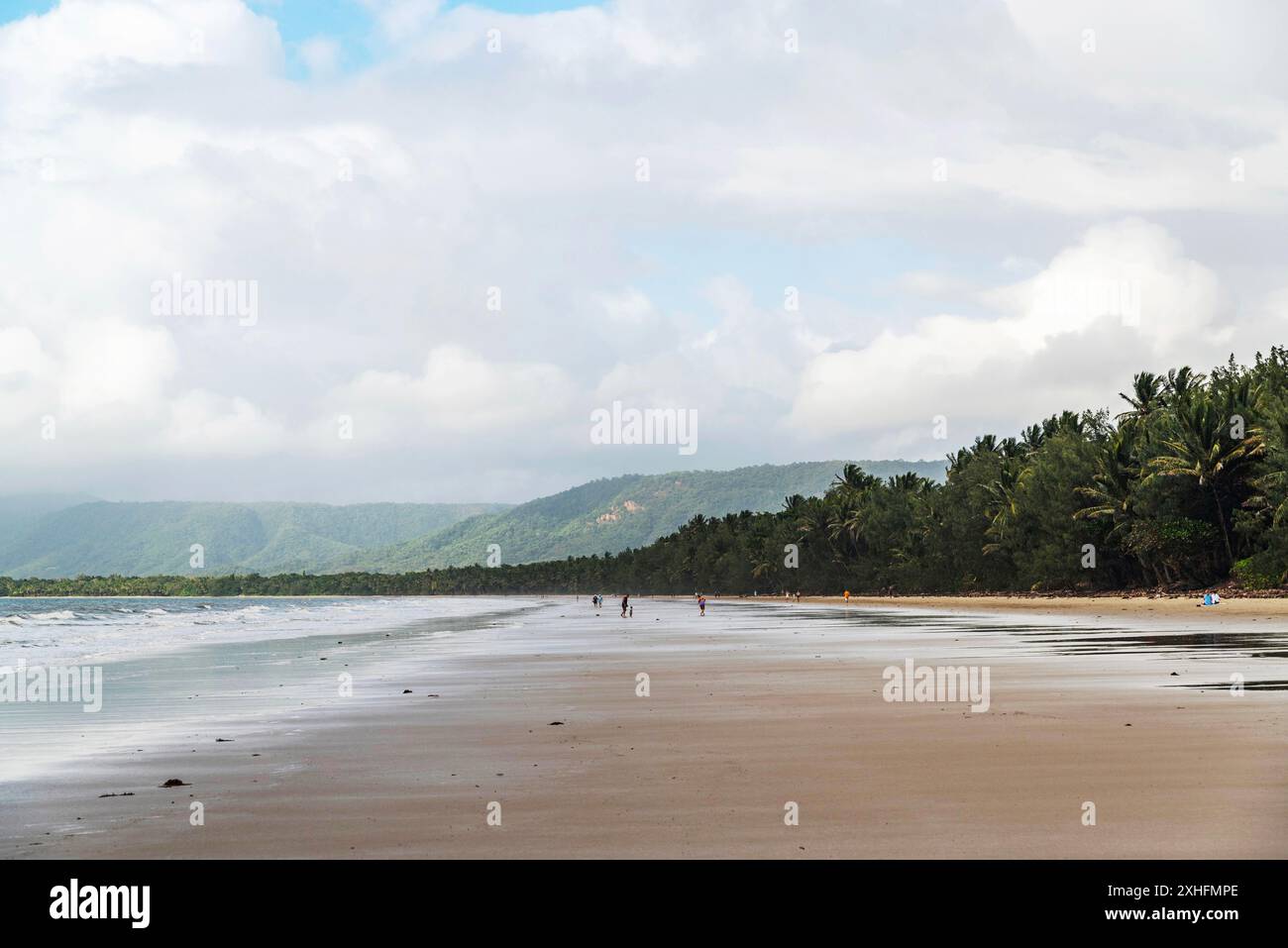 Majestic tropical golden sand Four Mile Beach in Port Douglas ...