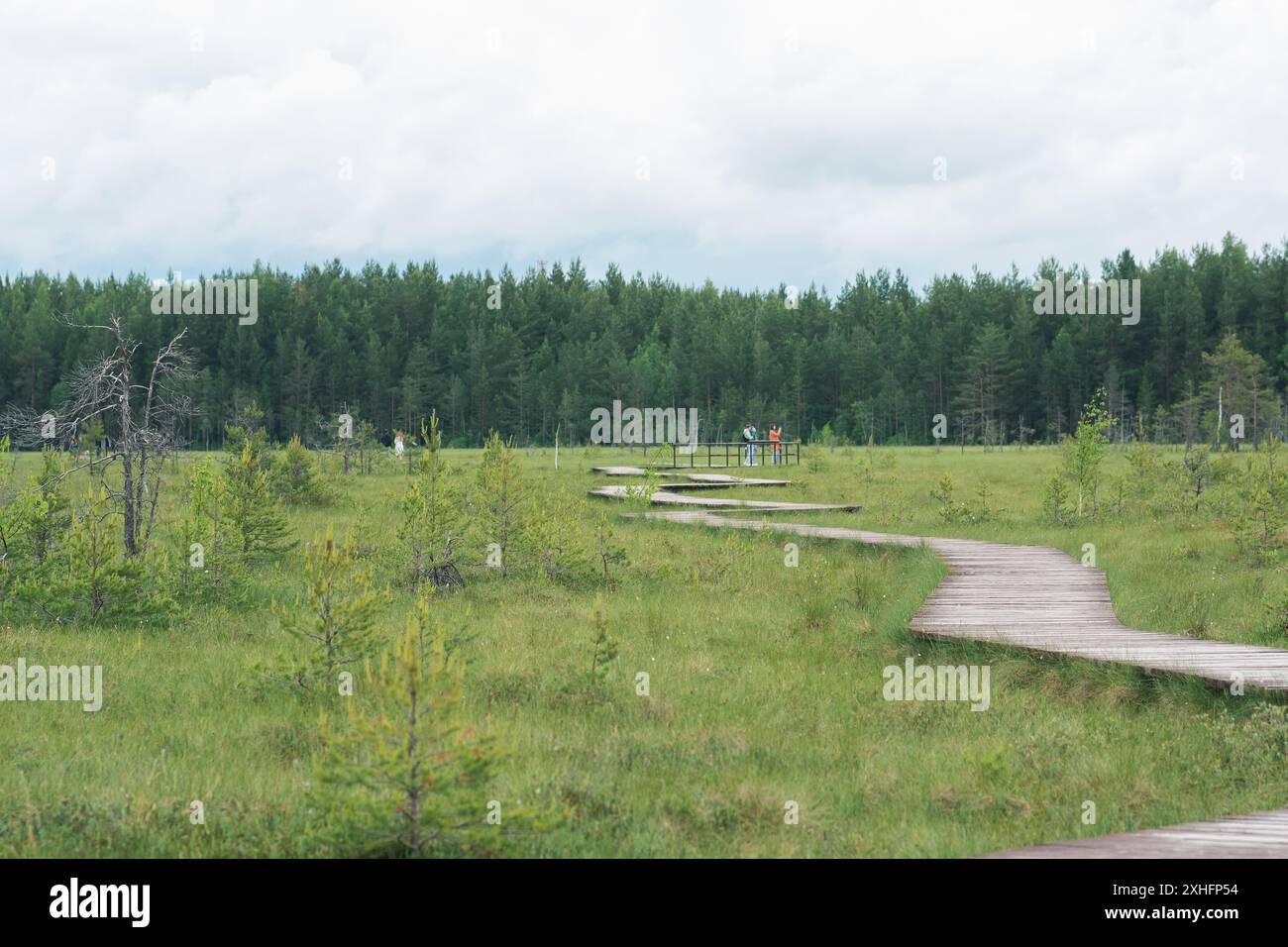 Saint Petersburg, Russia - June 08, 2024: people walk along wooden ...