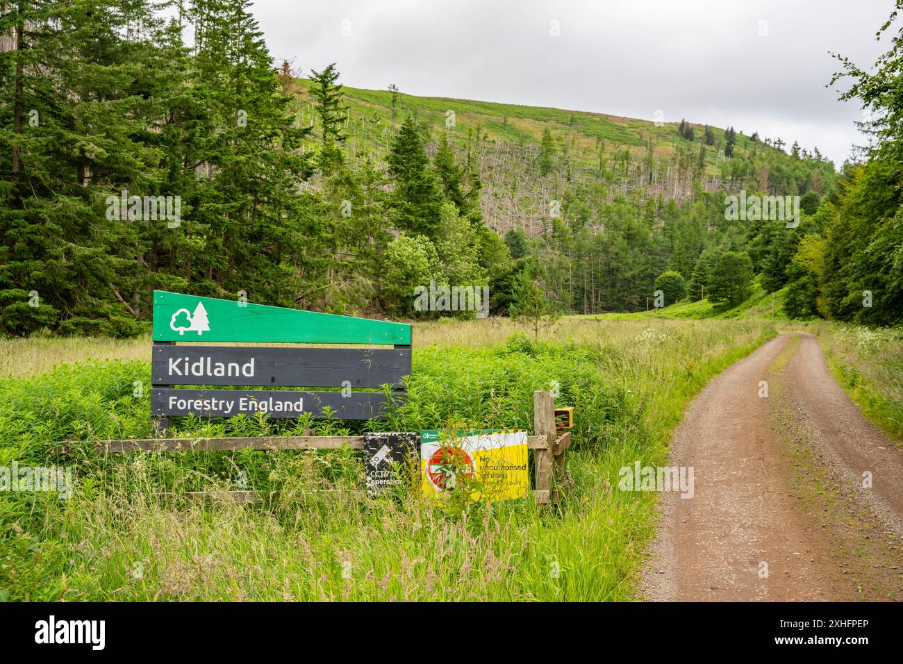 Kidland hi-res stock photography and images - Alamy