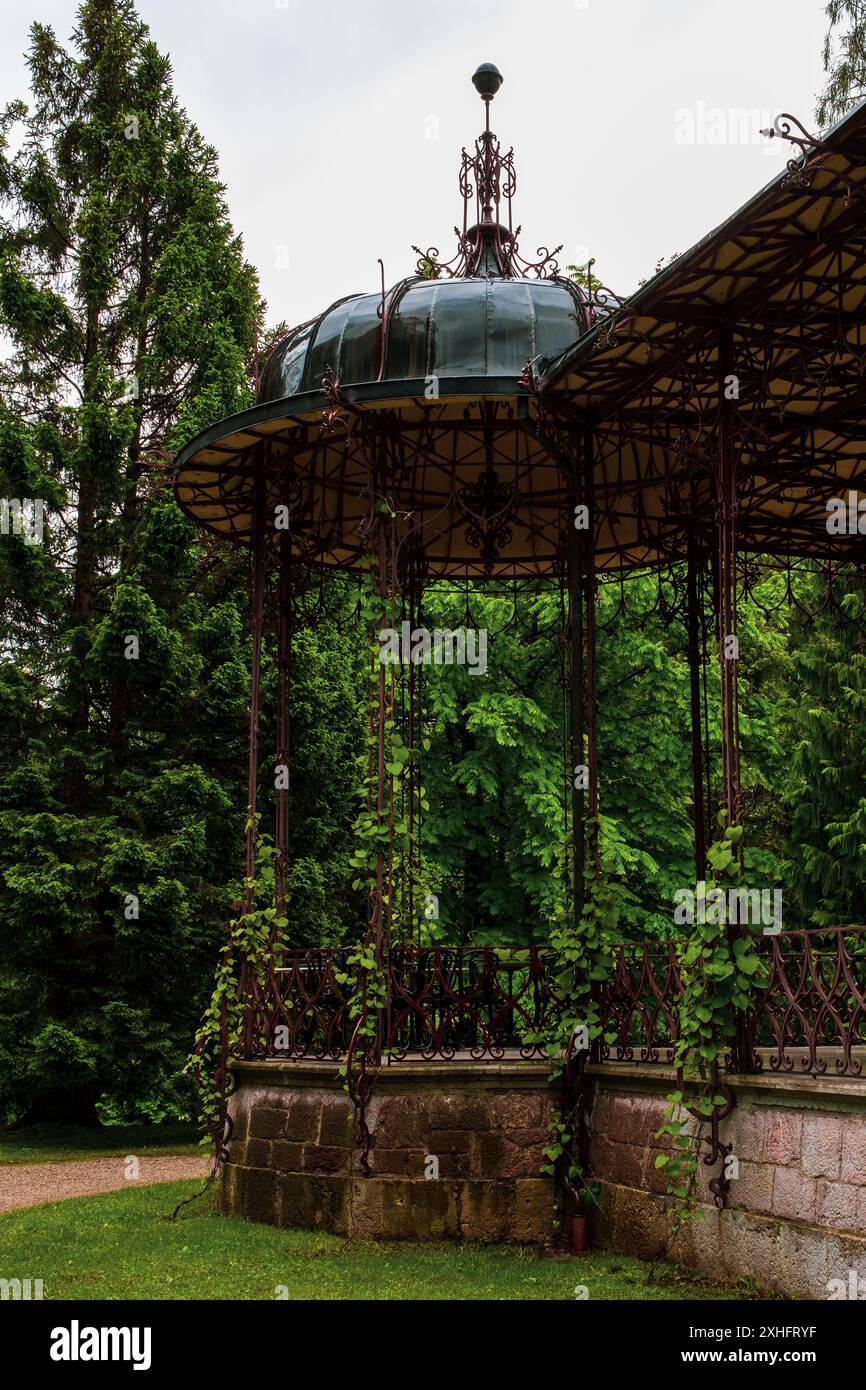 Old pavilion railing covered with climbing plants Stock Photo - Alamy