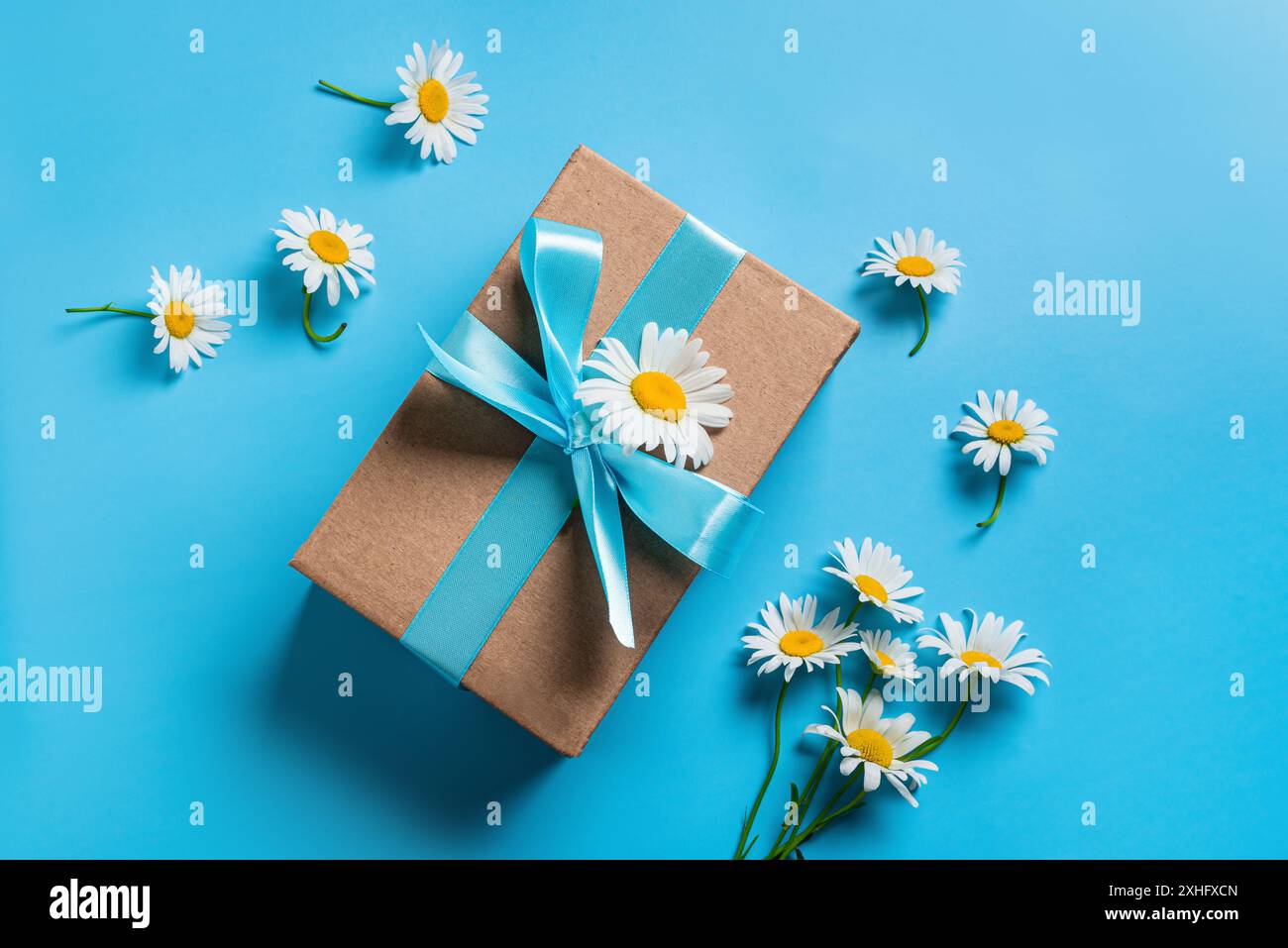 Gift box with white ribbon and Chamomile flowers on blue pastel ...