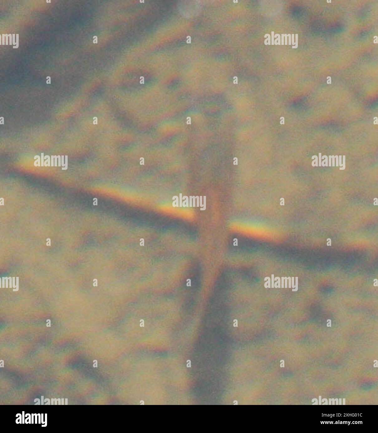 Ray-finned Fishes (Actinopterygii Stock Photo - Alamy