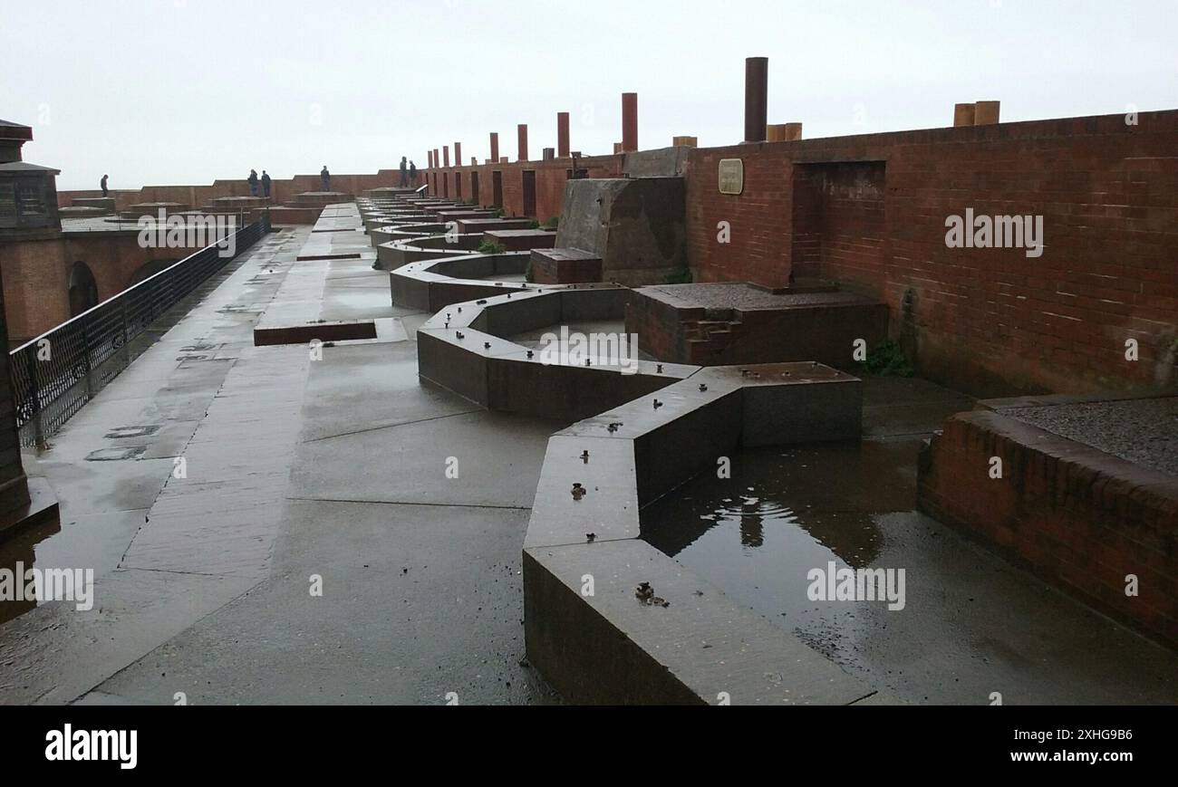 pellitory-of-the-wall (Parietaria judaica Stock Photo - Alamy