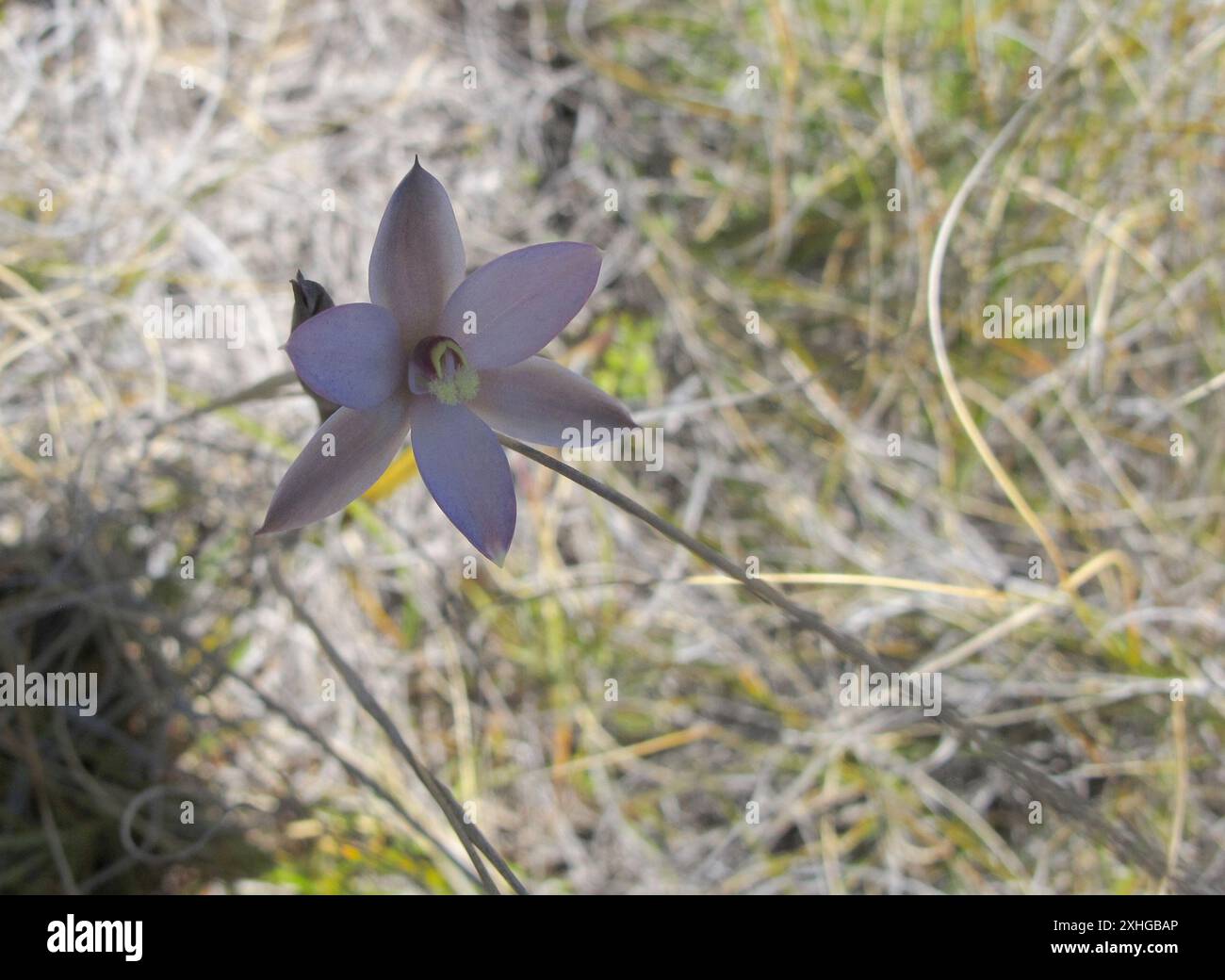 Hatchs hi-res stock photography and images - Alamy