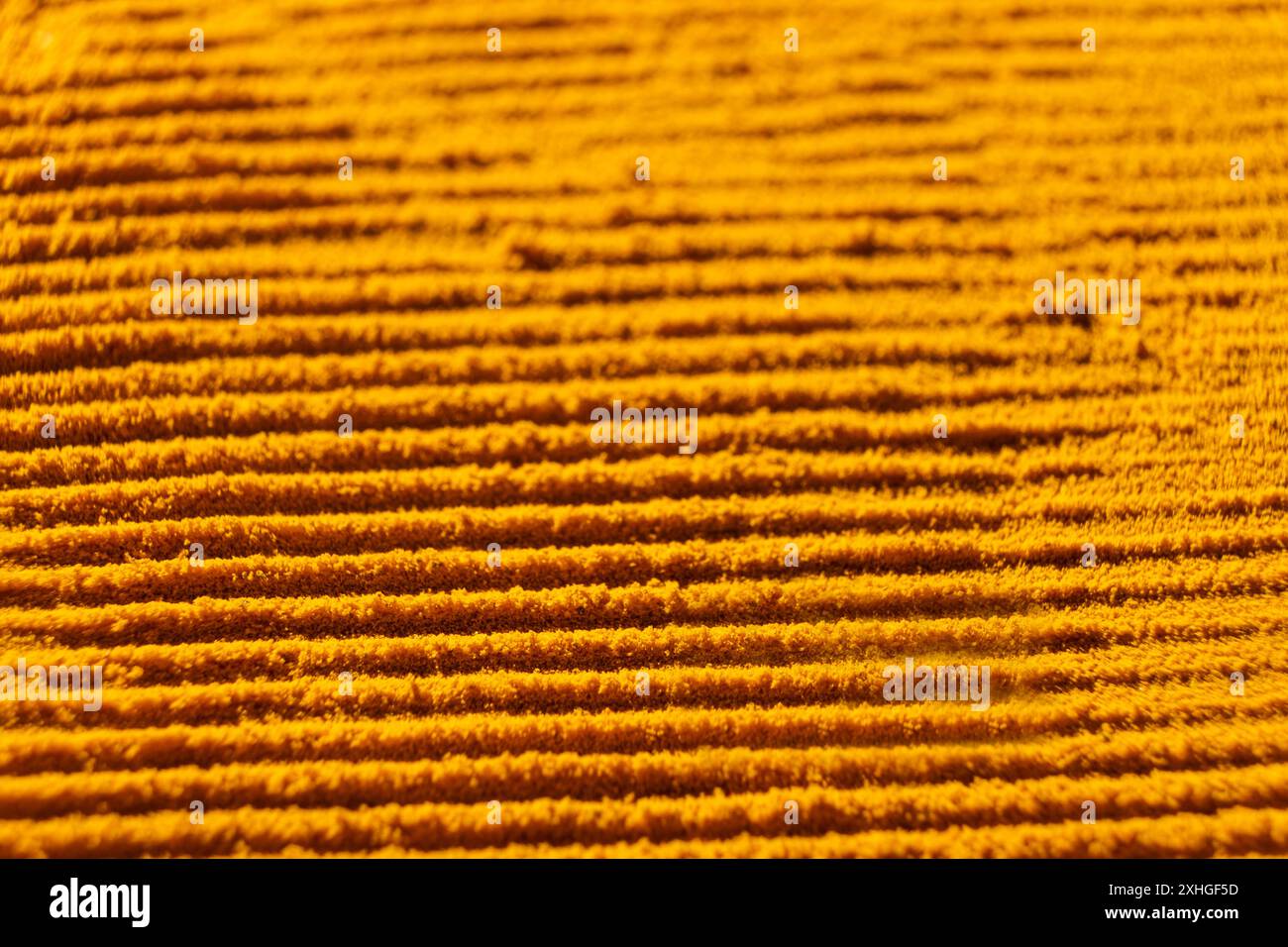 Abstract orange background of spilled turmeric powder, top view Stock ...