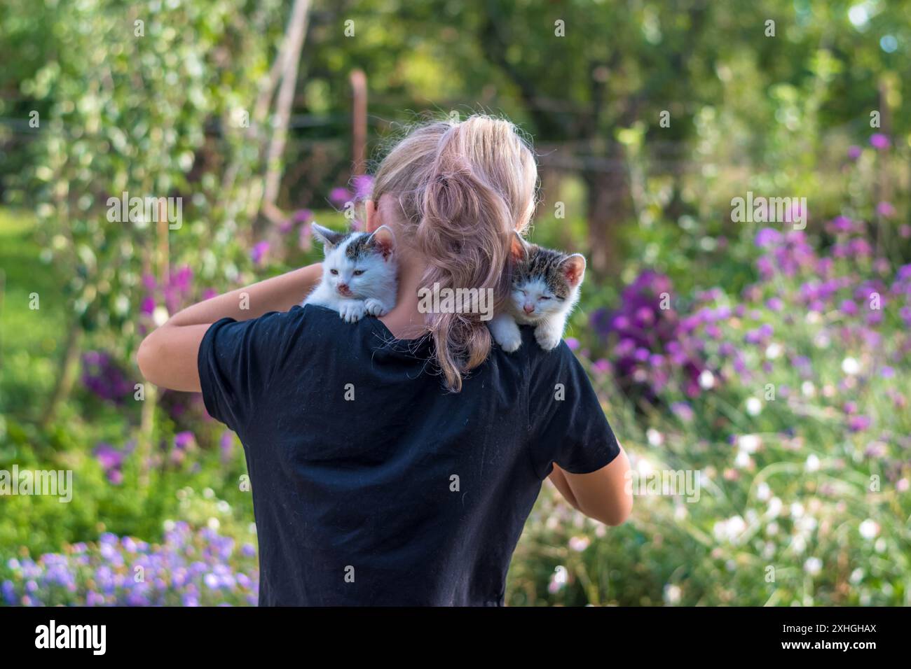 blond girl holding 2 cats in the garden Stock Photo - Alamy