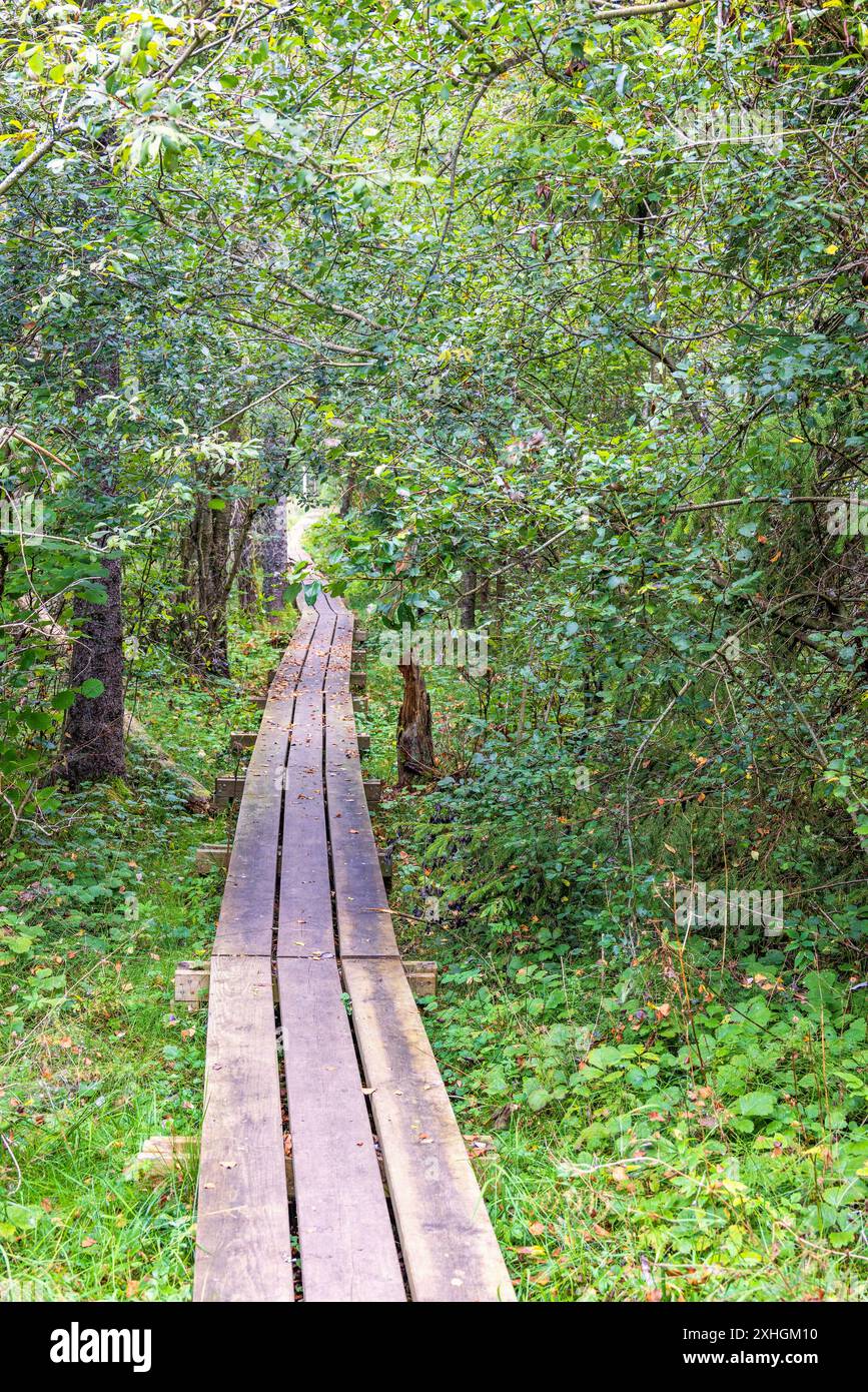Lush green trail hi-res stock photography and images - Alamy