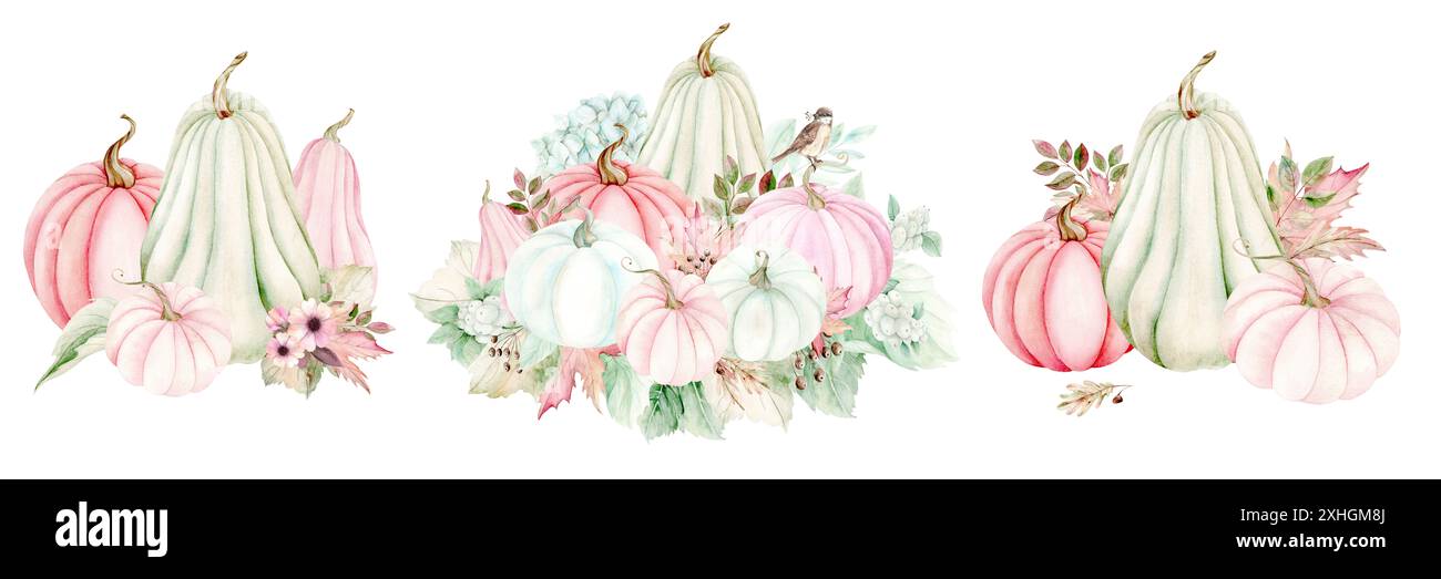 Set of white and pink pumpkins, fall leaves and flowers. Watercolor ...