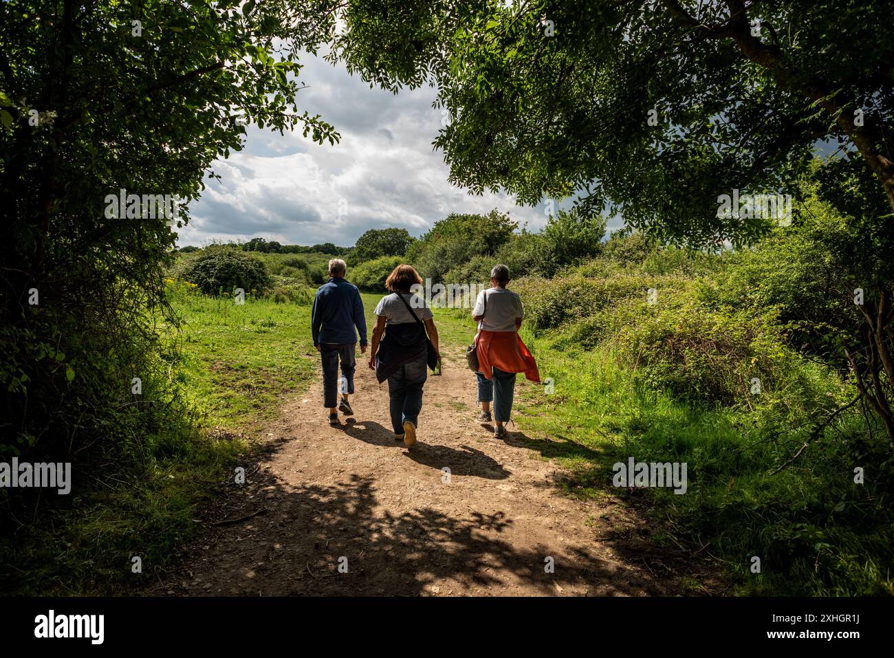 West Grinstead, July 13th 2024: Walking on the Knepp Estate Stock Photo ...