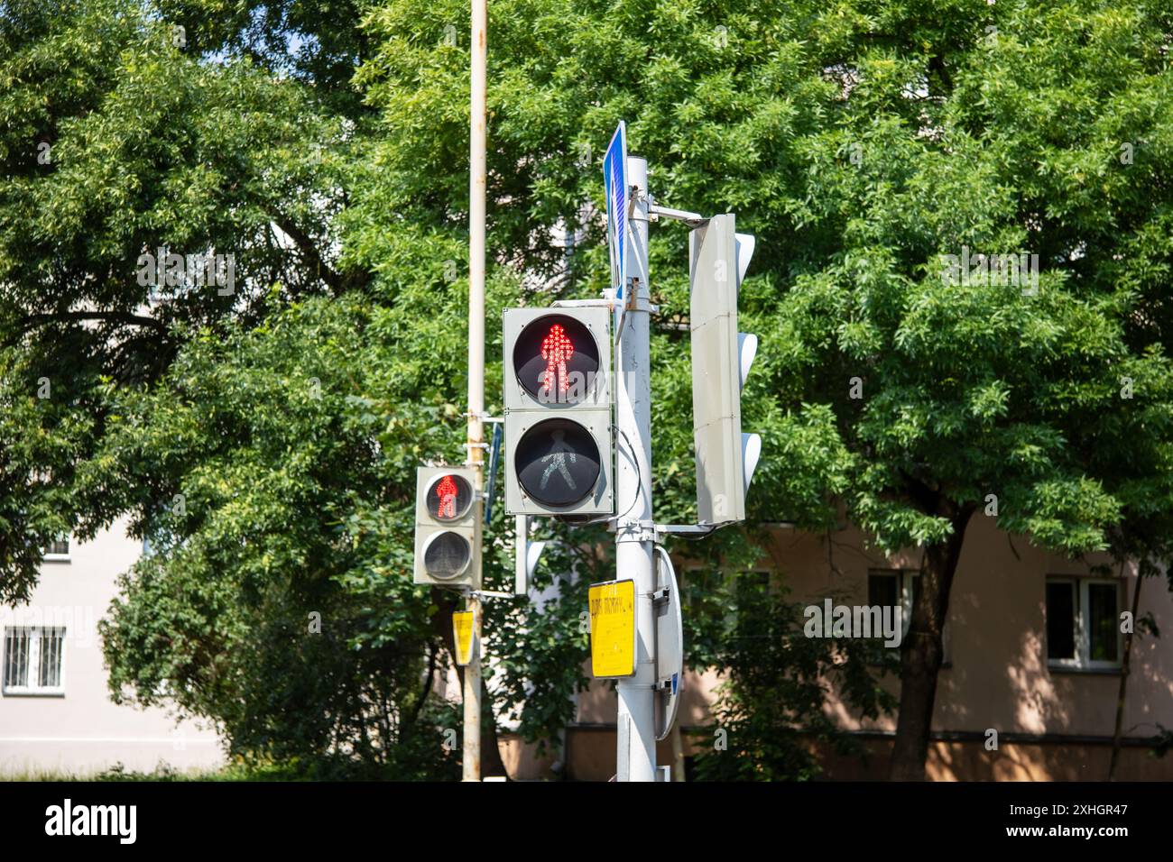 A traffic light with a pedestrian crossing sign is at a city ...
