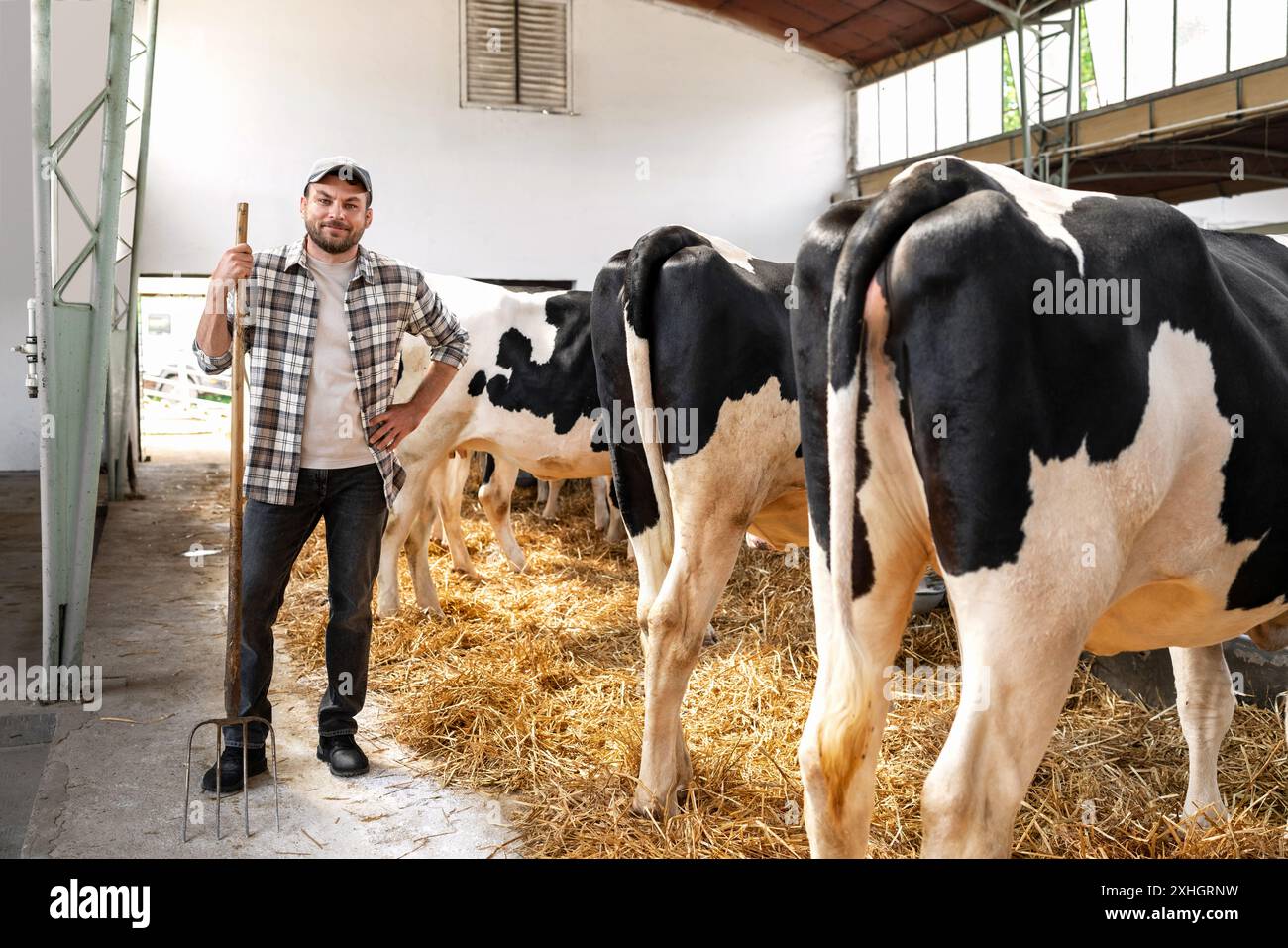 Portrait of a male livestock farm worker standing with a pitchfork next ...