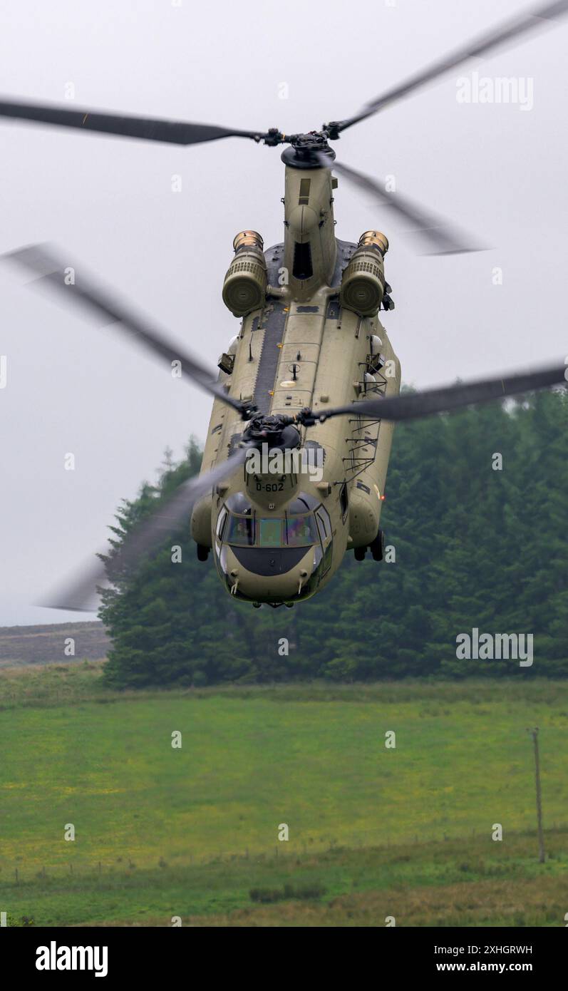 Royal Netherlands Air Force Helicopters in action, during Operation Tac ...