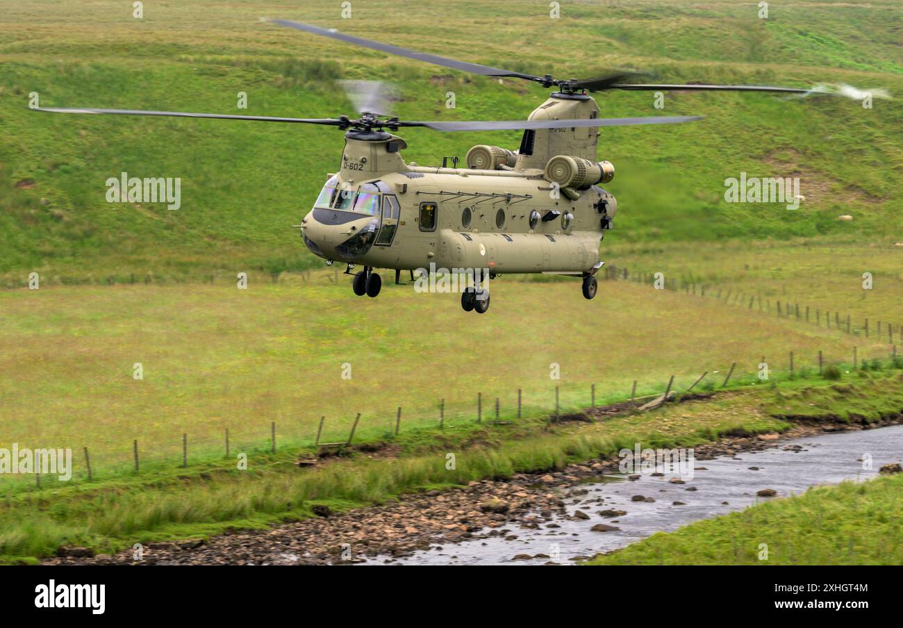 Royal Netherlands Air Force Helicopters in action, during Operation Tac ...