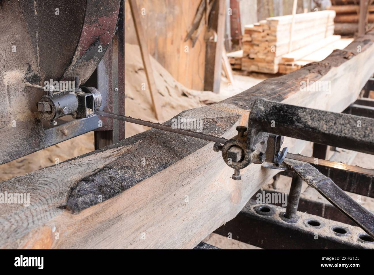 The process of processing pine wood on the equipment of a sawmill ...