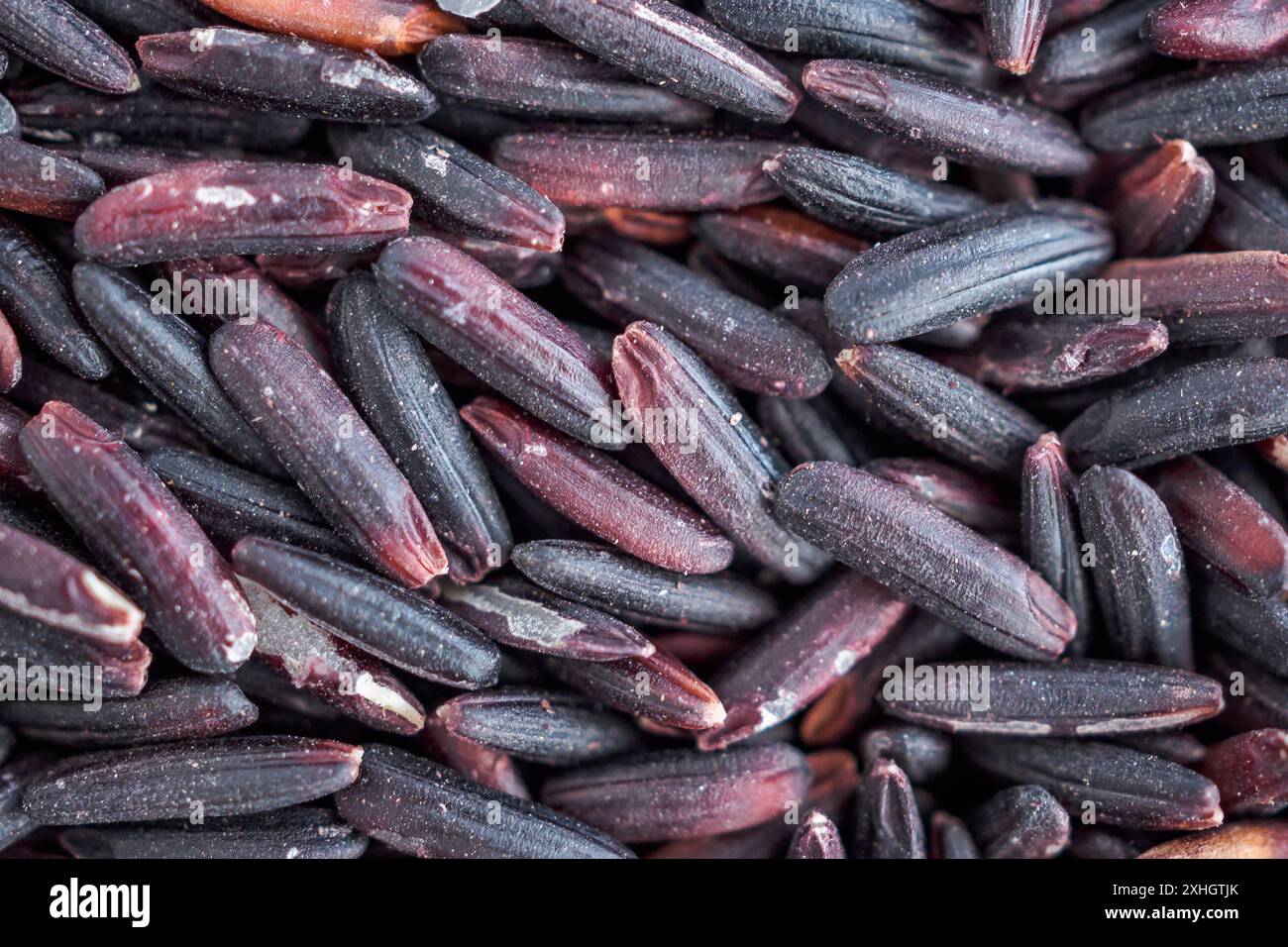raw organic Thailand riceberry rice texture background Stock Photo - Alamy