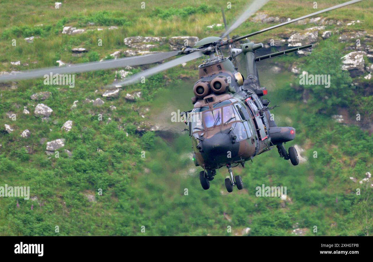 Royal Netherlands Air Force Helicopters in action, during Operation Tac ...