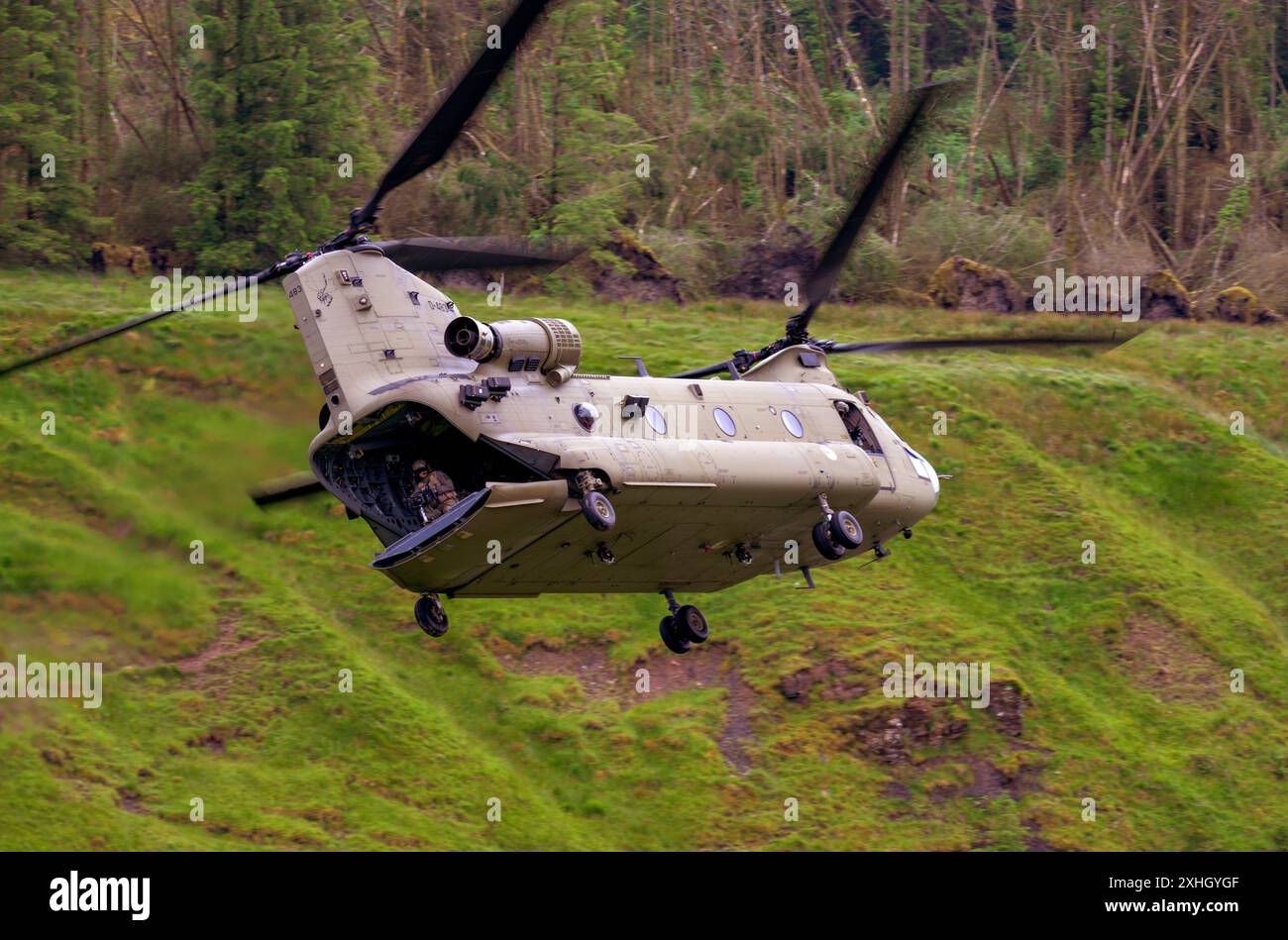 Royal Netherlands Air Force Helicopters in action, during Operation Tac ...