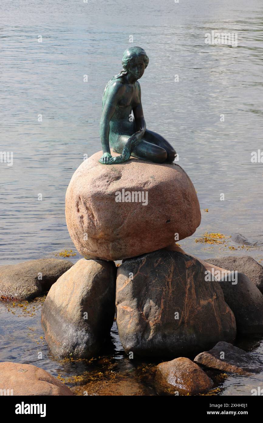 The Little Mermaid, a bronze statue by Edvard Eriksen, depicting a mermaid, Copenhagen, Denmark ...