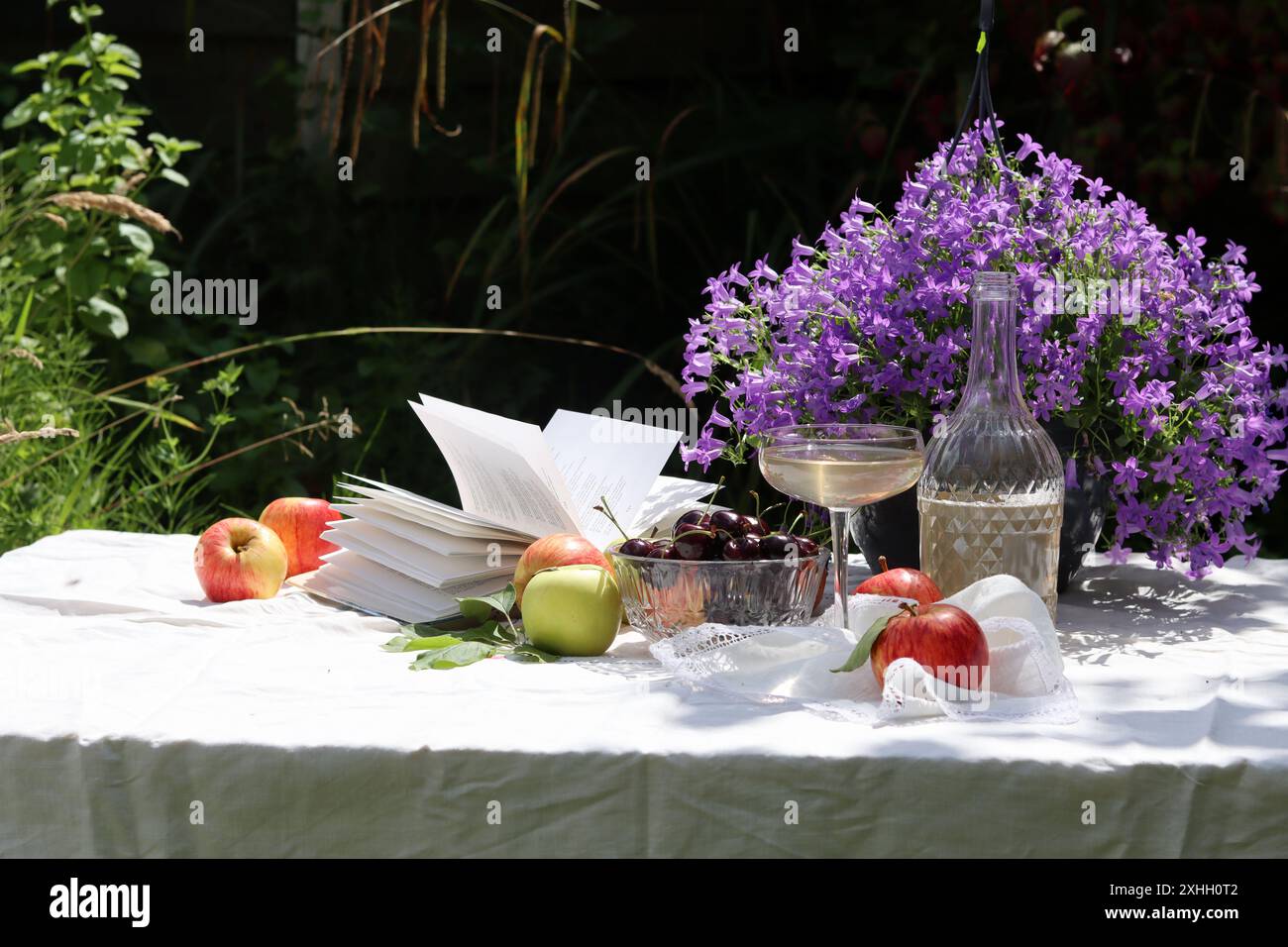Picnic table with wine, apples, cherry and flowers in the summer garden ...