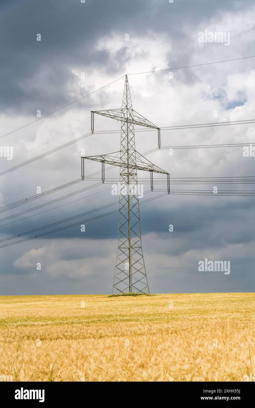 Power lines crossing golden wheat field under stormy skies, with birds ...