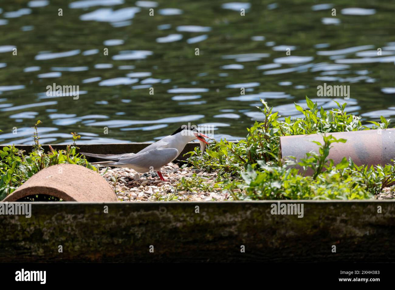 On floating hi-res stock photography and images - Alamy