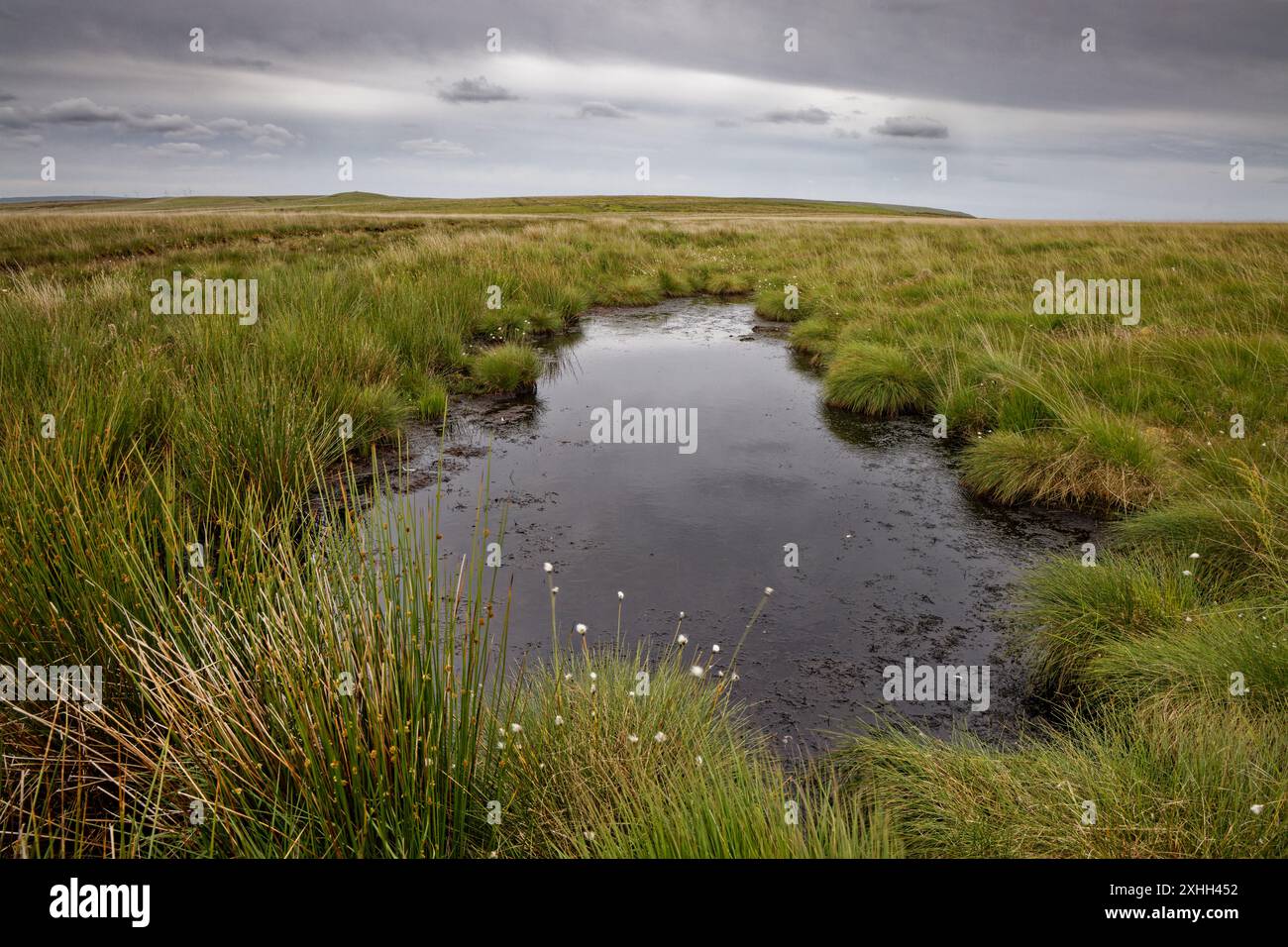 Peaty ponds hi-res stock photography and images - Alamy