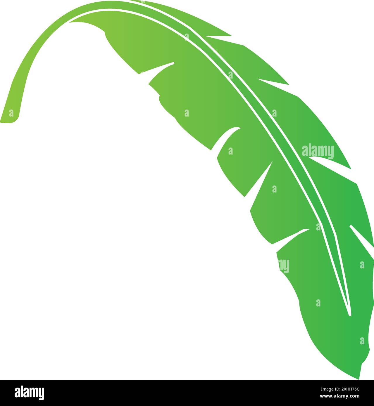 Banana plant cut out Stock Vector Images - Alamy