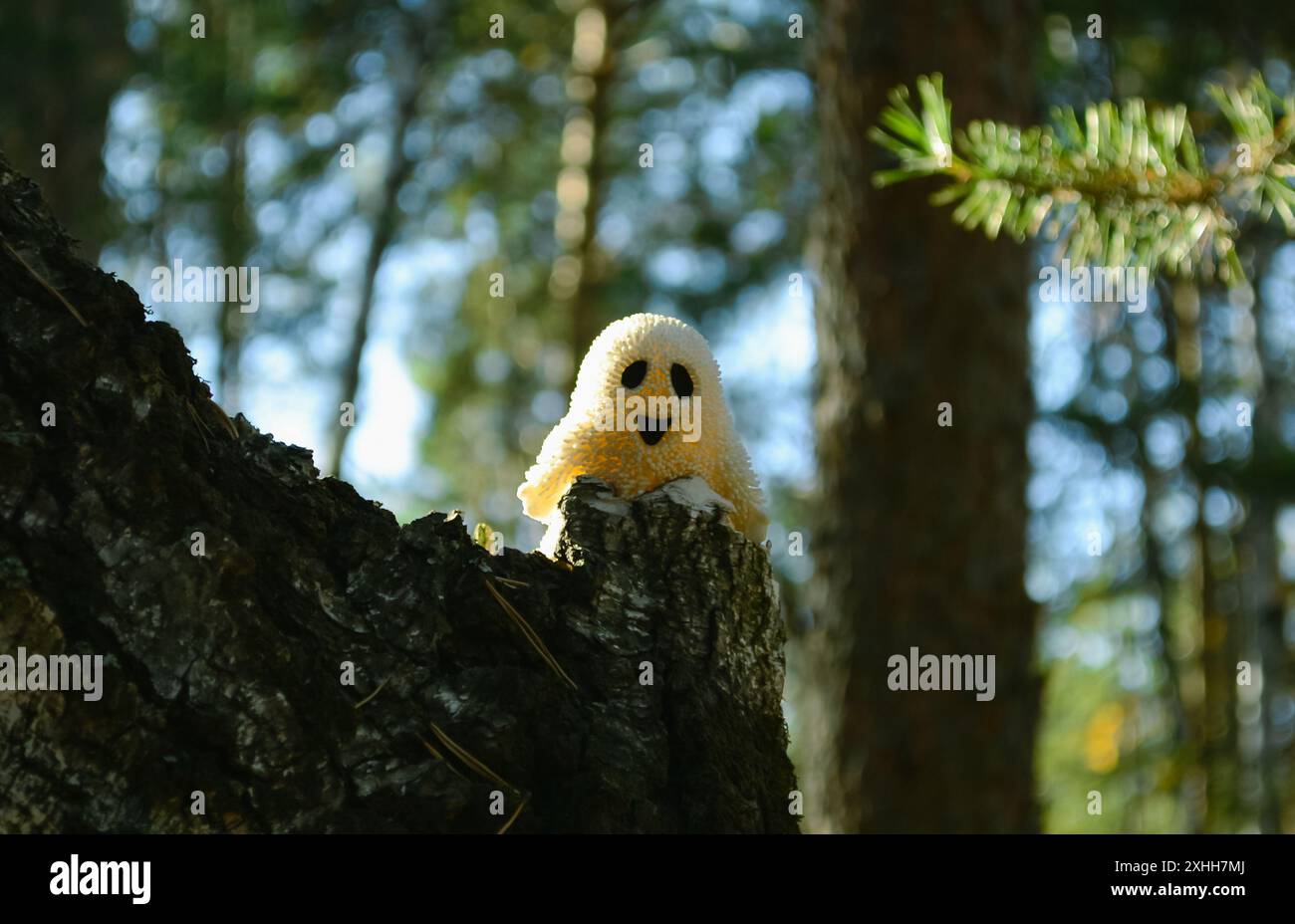Peeking ghost hi-res stock photography and images - Alamy