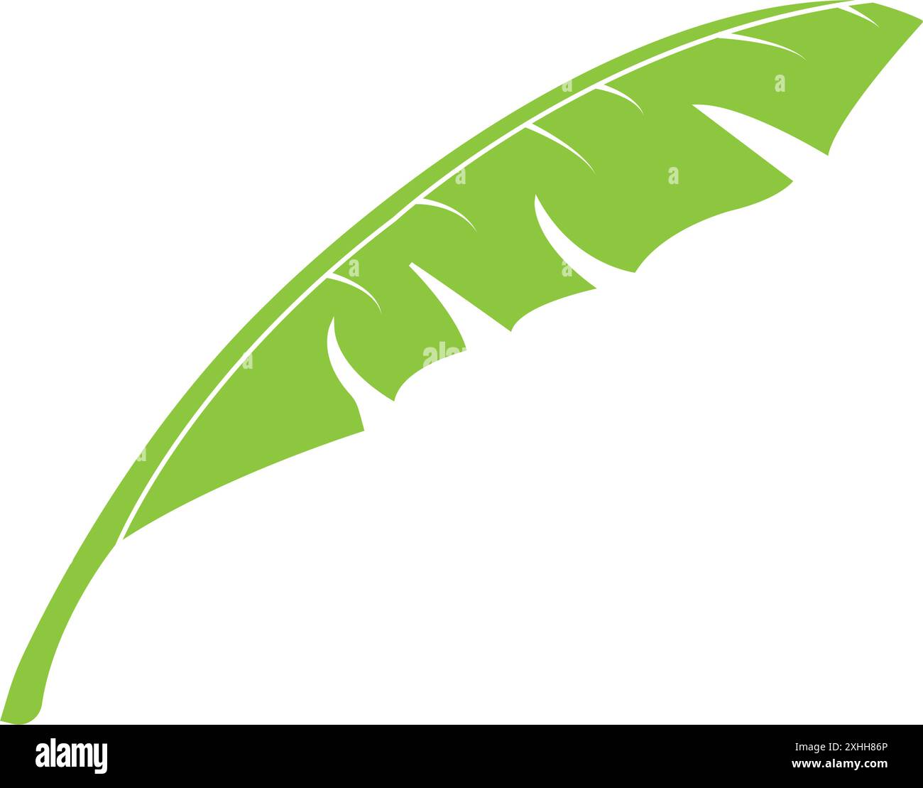 banana leaf design vector illustration Stock Vector Image & Art - Alamy
