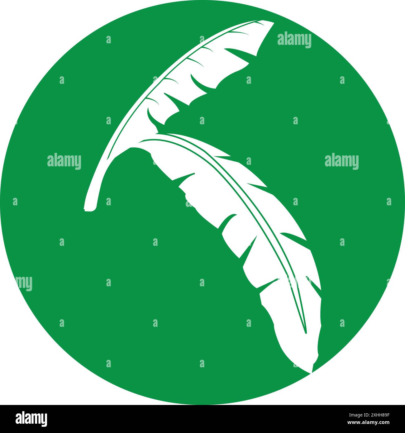 banana leaf design vector illustration Stock Vector Image & Art - Alamy