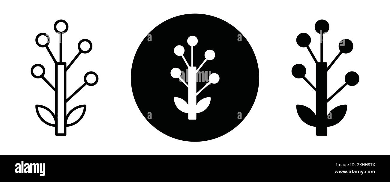 Golden Wattle Icon Black line art vector in black and white outline set collection sign Stock ...