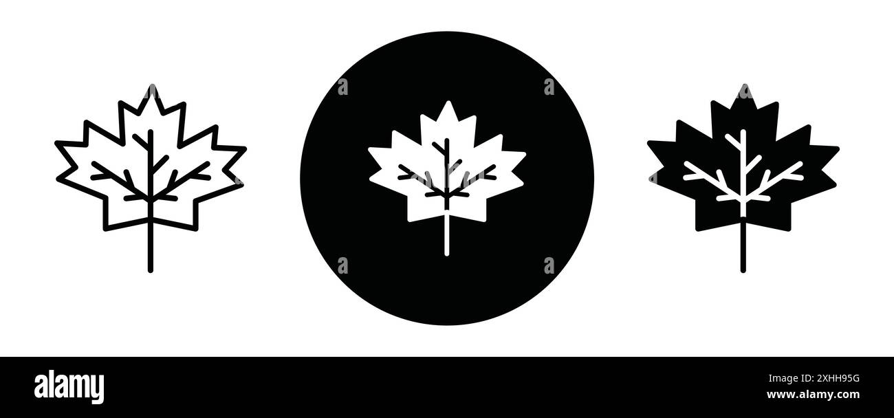 Maple leaf icon Black line art vector in black and white outline set collection sign Stock ...