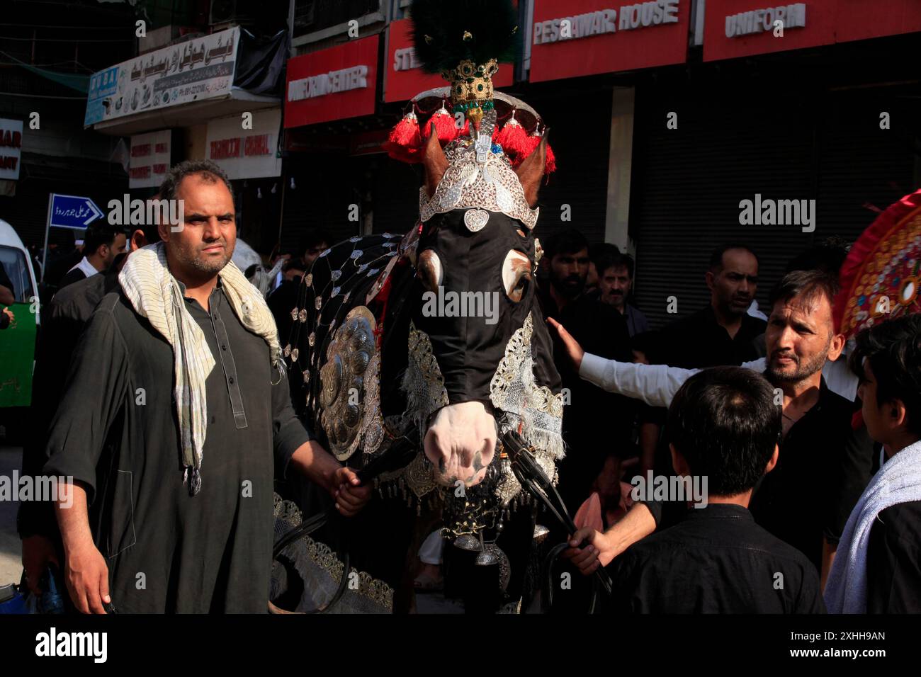 Pakistani Shiite Muslims pay respects to Zul Jinnah, a horse ...