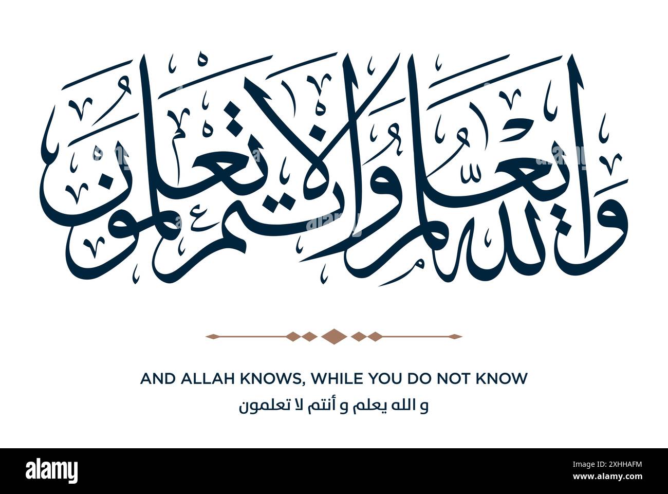 Verse from the Quran Translation AND ALLAH KNOWS, WHILE YOU DO NOT KNOW ...