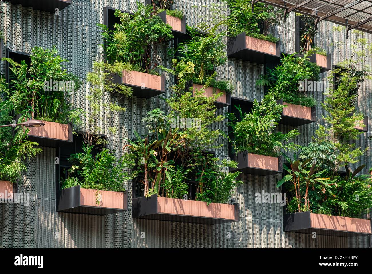 Building facade with green plants growing on balcony. Vertical garden ...