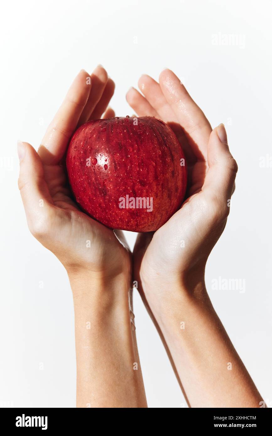 Hands holding a red apple on a white background Stock Photo - Alamy